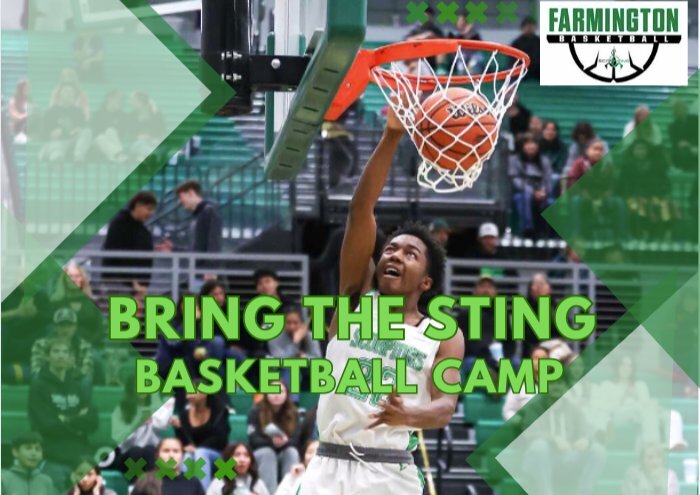 Bring the Sting Basketball Camp 2025 | fms Box Office