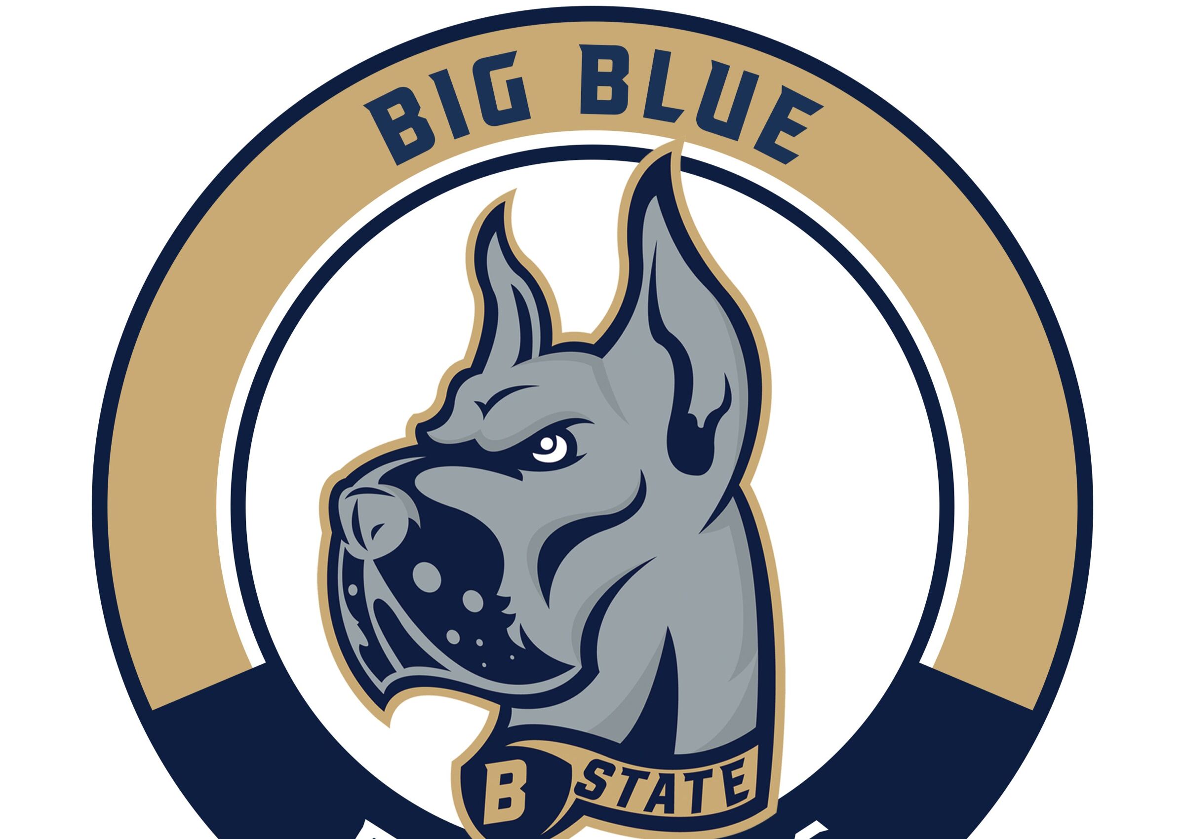 Boosters | gobstate Box Office
